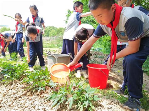 姚江镇江江藻小学：劳动教育正当时