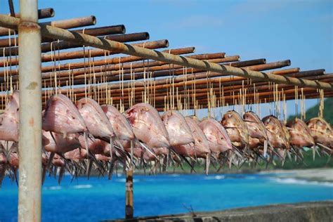 2025蘭嶼。飛魚洄游活動日期：2025 05 01 旅遊玩樂 幼兒親子 Beclass 線上報名系統 Online