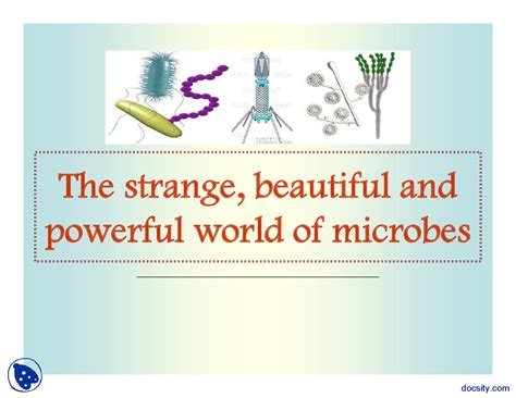 Microbes Health Lecture Slides Docsity