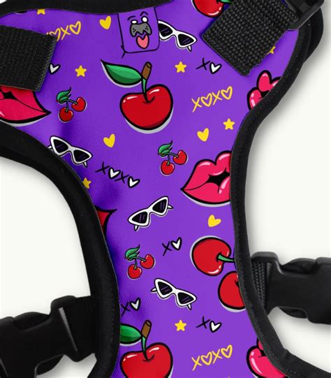 Arnés Pechera Cherrylicious Mumumú Ruff Shop