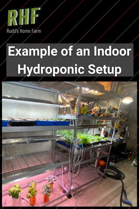 Example Of An Indoor Hydroponic Setup Hydroponics Hydroponics Diy