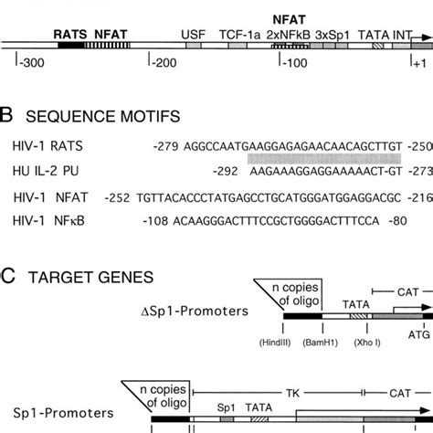 Hiv 1 Ltr And Derived Target Genes A Relative Position Of Relevant