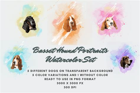 30 Basset Hound Portraits Watercolor Set Graphic By Ty Wu · Creative