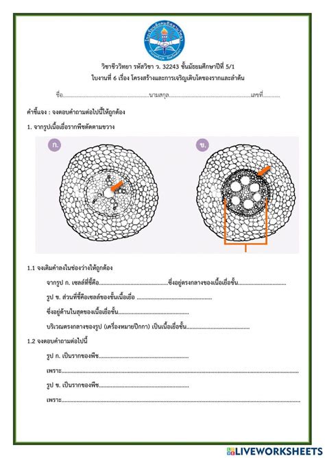 ใบงานที่ 6 เรื่องโครงสร้างและการเจริญเติบโตของรากและลำต้น Online