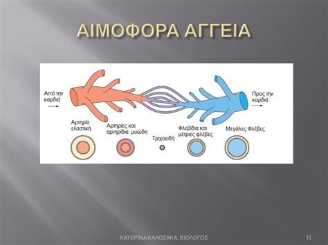 ΚΥΚΛΟΦΟΡΙΚΟ ΣΥΣΤΗΜΑ