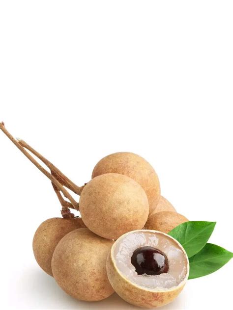 செம்பூவம் பழத்தின் நம்ப முடியாத மருத்துவ நன்மைகள் Tamilsamayam