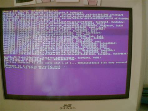 Memory Ram Error Purple Screen Of Death Psod