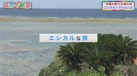 沖縄の新たな旅の形「エシカルトラベル」【the Kitchen Hostel Ao】 Okitive