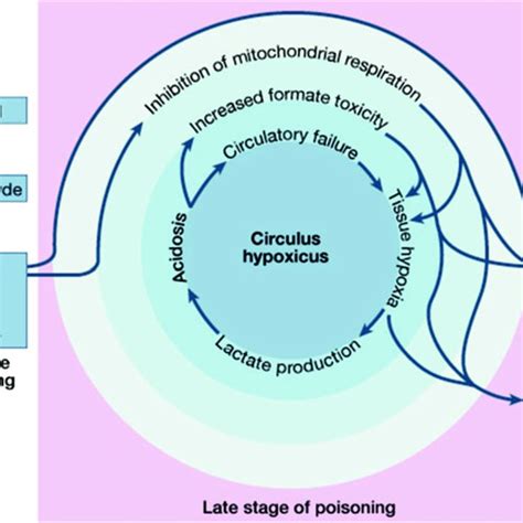 Pdf Methanol And Formaldehyde Poisoning