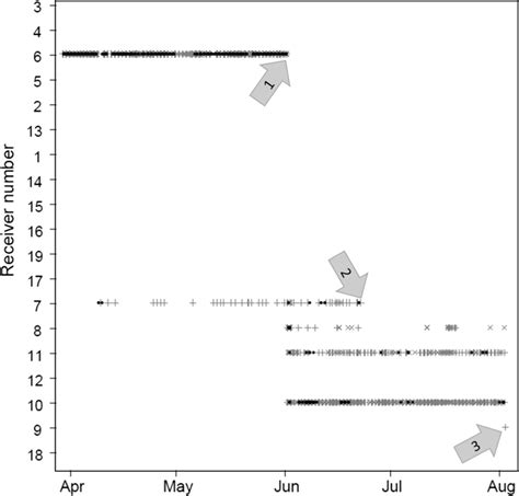 Example Abacus Plot Of Detections For Gray Snapper Id87 From Pumpkin Download Scientific
