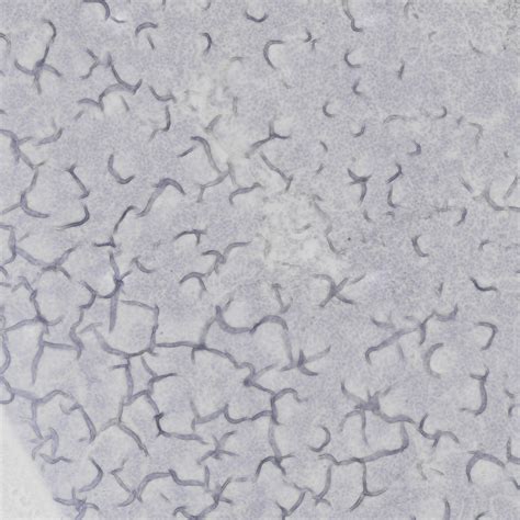 How Can I Minimize The Cracking Observed ResearchGate