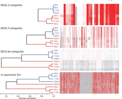 Figure 1 From Microbial Metatranscriptomics In A Permanent Marine