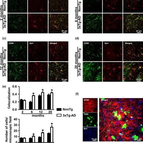 Age‐dependent Microglia Activation In 3xtg‐ad Mice A D Download