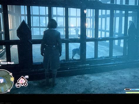 bug iv opened this cage s lock before out of curiosity and now i need