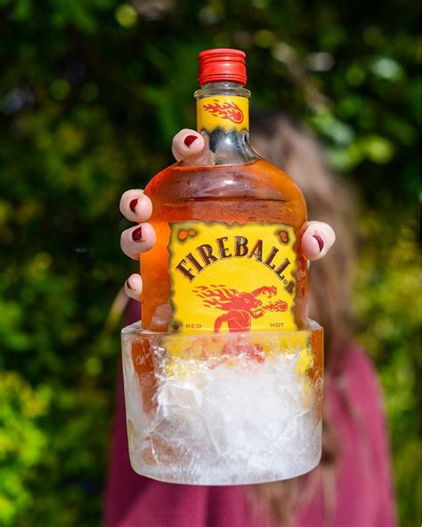Licor De Whisky E Canela Fireball 750ml Bartender Store Seu Portal De