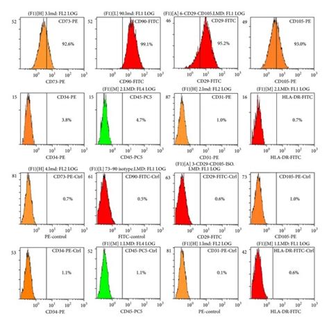 Immunohistochemical Determination Of Human Hepatocyte Markers In Rat
