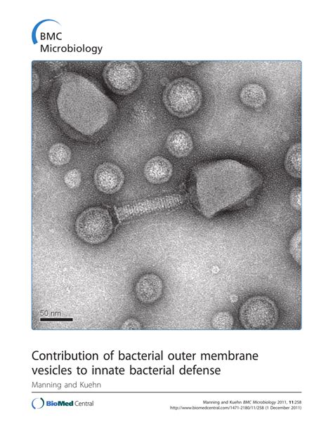 Contribution Of Bacterial Outer Membrane Vesicles To Innate Bacterial