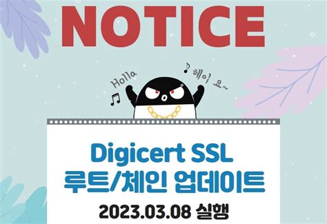 중요공지 Digicert Ssl인증서 루트체인 업데이트 20230308실행 Ssl 인증서 발급종류가격비교