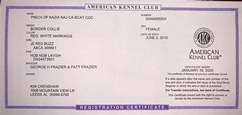 Kazia Akc Registration Mindbender Border Collies