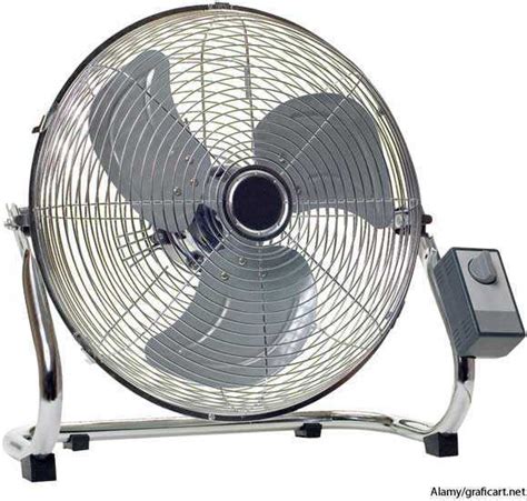 Fan Dictionary Definition Fan Defined
