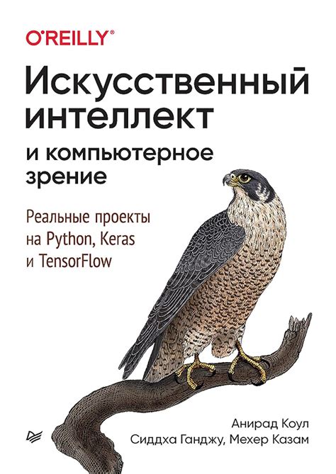Искусственный интеллект и компьютерное зрение Реальные