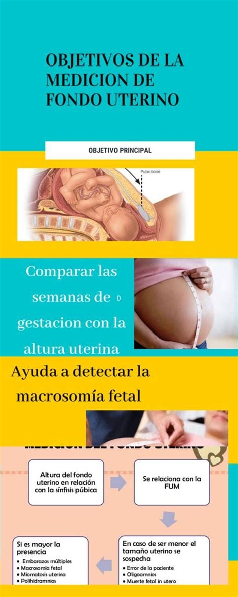 Medicion Del Fondo Uterino Managedmen