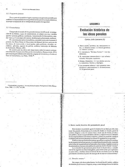 Derecho Penal Parte General Carlos Lascano Pdf