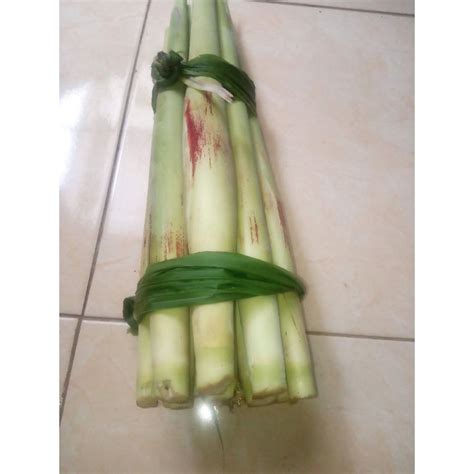 Jual Terubuk Atau Turubuk 500gr Shopee Indonesia