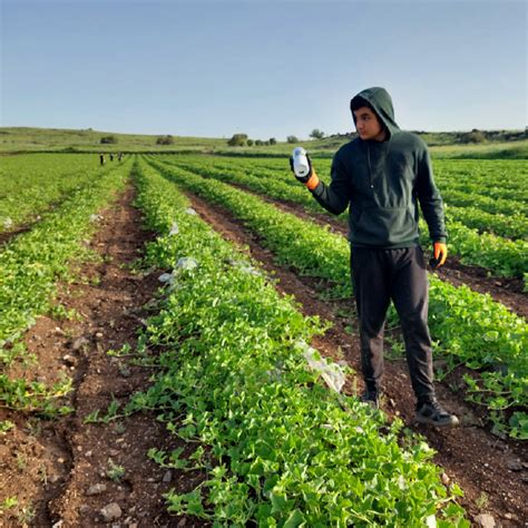 Hand Application Biobee