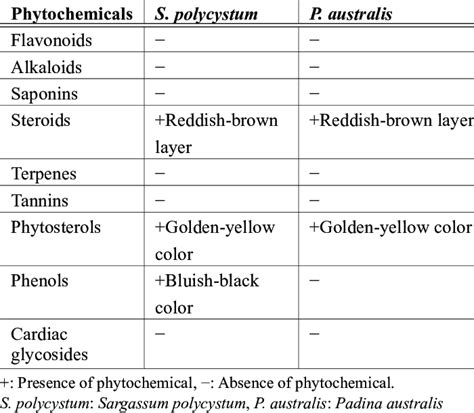 Qualitative Phytochemical Screening Of Aqueous Extracts Of P Australis Download Scientific