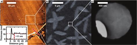 Morphology Of The 2d Cof Membranes A Afm Image Of The Film