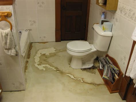 How To Replace Subfloor Under Toilet At David Montalvo Blog