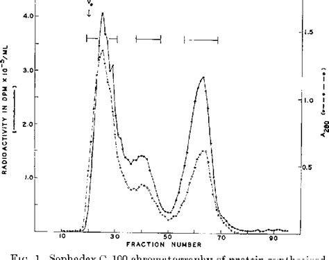 Figure 1 From Globin Synthesis On Reticulocyte Membrane Bound Ribosomes Semantic Scholar