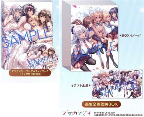 【未使用】新品未使用 アマカノ2＋ ビジュアルファンブック ドラマcd付限定版＆画集収納box付 Got ピロ水 蔦町ちとせ 氷見山玲