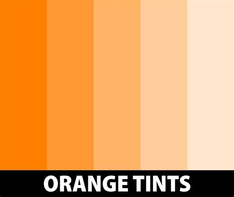 Discover The Beauty Of Orange Shades