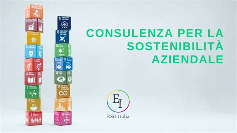 Consulenza E Sviluppo Sostenibile Esg Italia