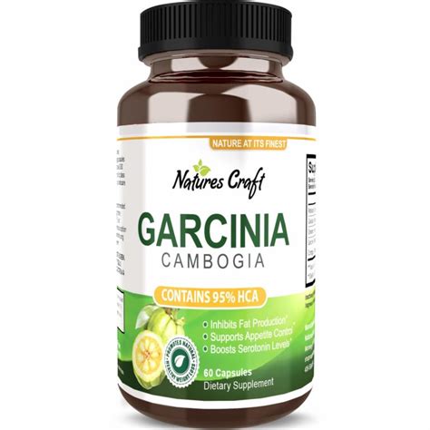 Top 10 Best Garcinia Cambogia Brands Healthtrends