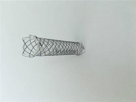 Self Expanding Metallic Non Covered Ercp Biliary Stent Gs 4 Xx Xxxxx