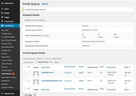 Wordpress Newsletter Plugin