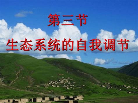 苏科版八年级上册生物 183生态系统的自我调节 课件（28张ppt）21世纪教育网 二一教育