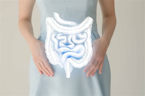 60개 이상의 Sleeve Gastrectomy 스톡 사진 그림 및 Royalty Free 이미지 Istock
