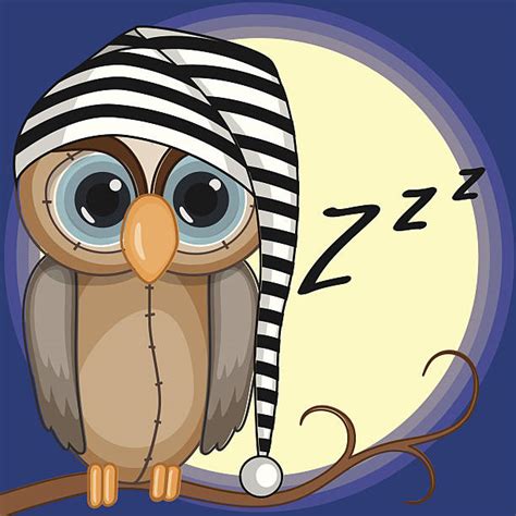 560 Sleepy Owl Illustration Stock Illustrations Royalty Free Vector