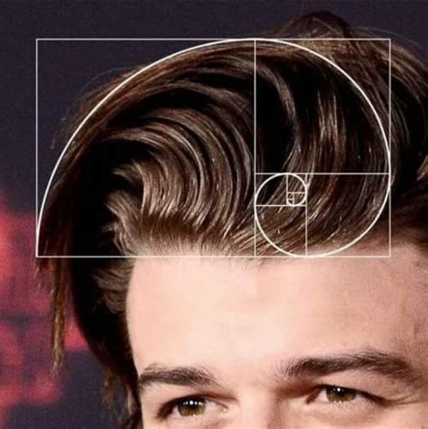 Fibonacci Sequence On Tumblr Fibonacci Sequence On Tumblr