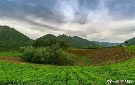 春天去重慶紅池垻可以觀春花爛漫 呼吸高山草場新鮮空氣 每日頭條