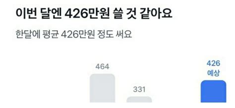 실수령 500 받는 돌싱 개발자가 돈을 모으지 못하는 이유