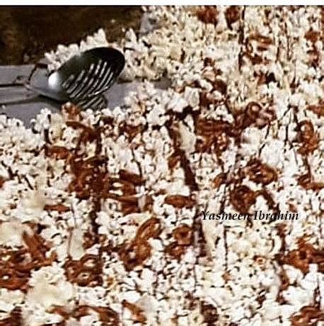 GOURMET POPCORN - Your Recipe Blog