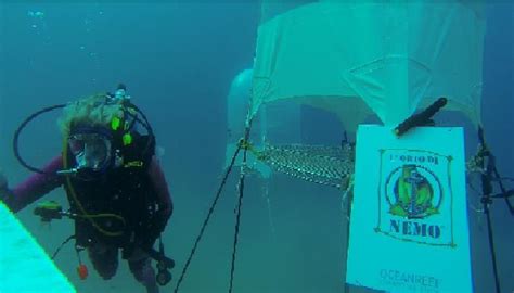 nemo project