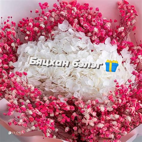 Бяцхан бэлэг🎁