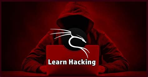 top 5 best ethical hacking courses for programmers