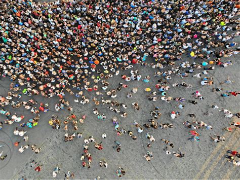 Learn Essential Demographic Data Skills
